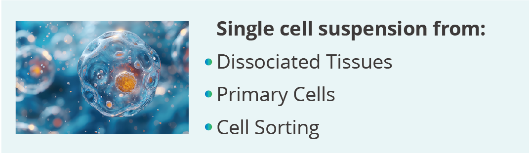 Free Cell Storage Solution for Single Cell Suspensions