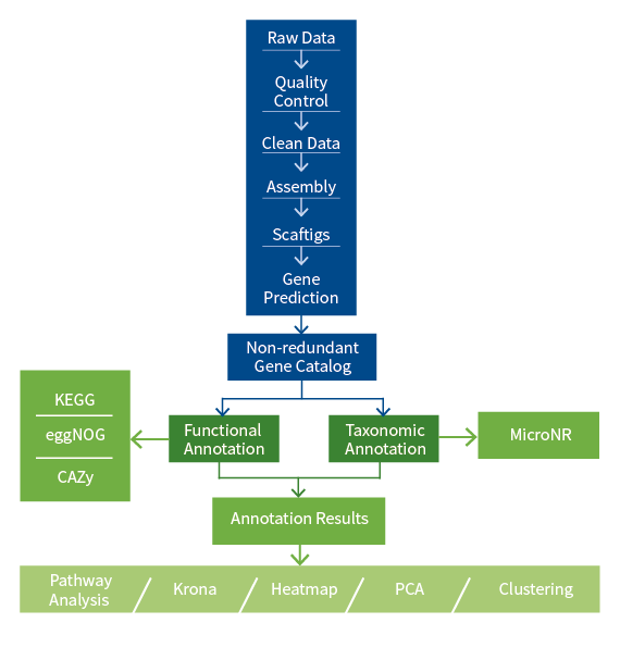 A useful tool to study microbial structure and gene functions of your ...
