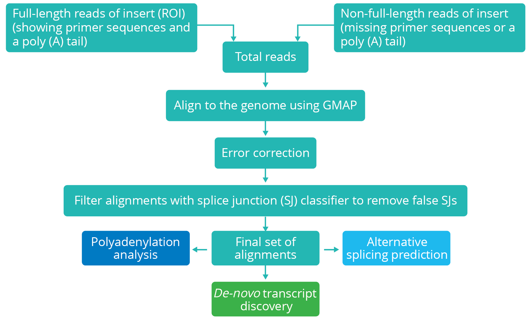 Iso-seq_casestudy202303