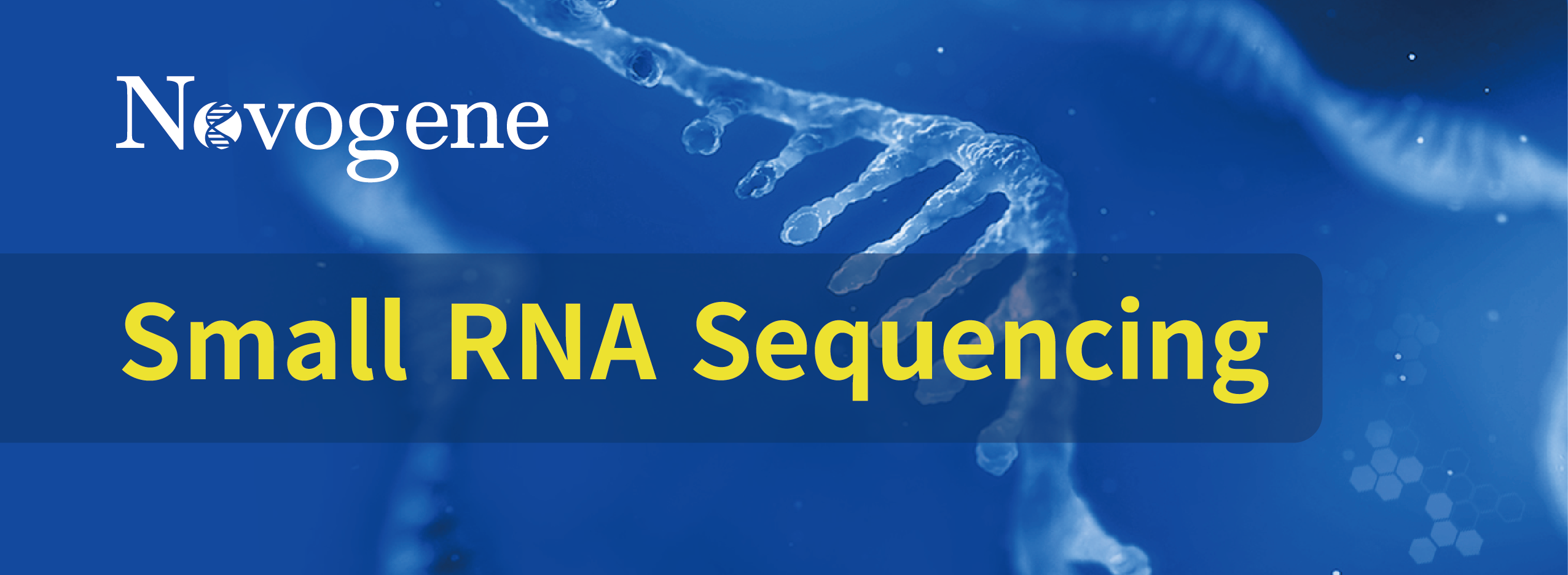 Novogene - sRNAseq
