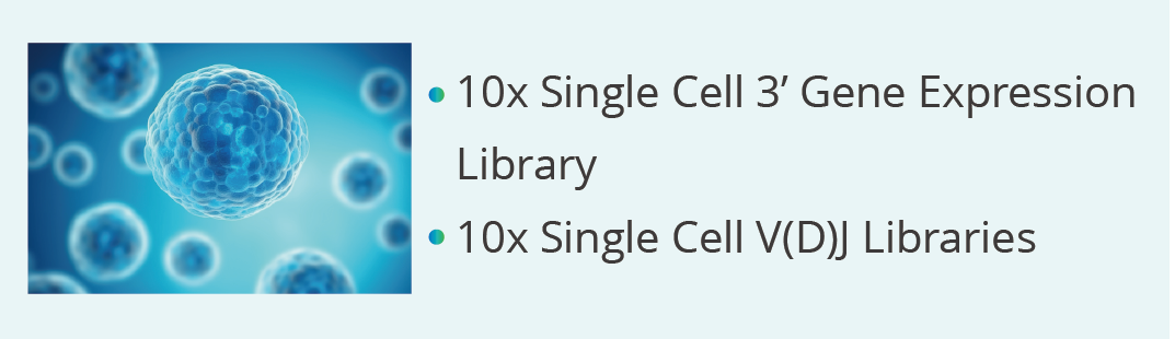 Free Cell Storage Solution for Single Cell Suspensions